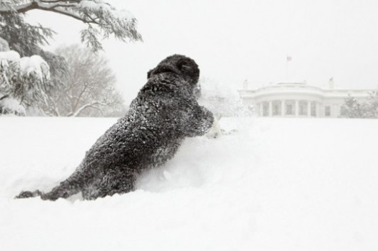 Sweetest Moments From the Obama Years In Photos (2009-2017) - Good News ...