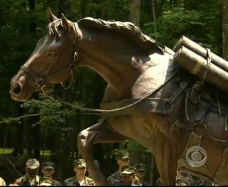 Marine Tribute to the Bravest Four-legged War Hero Ever - Good News Network