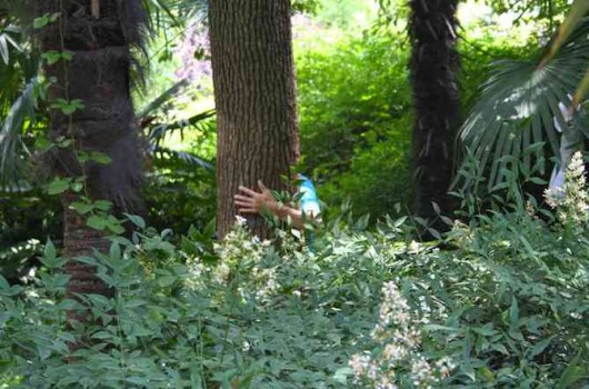 Thousands in Nepal Hug Trees in World Record Bid - Good News Network
