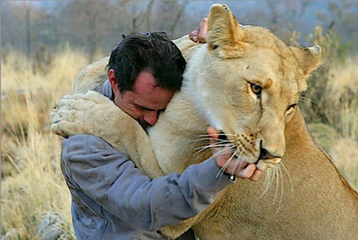 Watch the Lion Whisperer Hugging Big Cats on World Lion Day - Good News ...