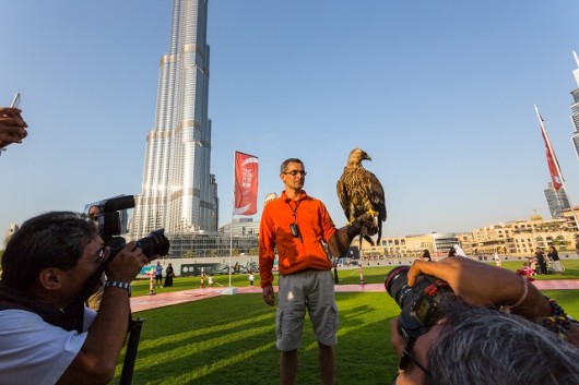 Watch This Eagle-Cam Nose Dive From the World's Tallest Building - Good ...