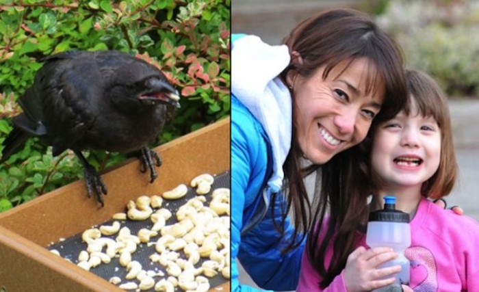 Birds Bring Gifts to Little Girl Who Feeds Them - Good News Network
