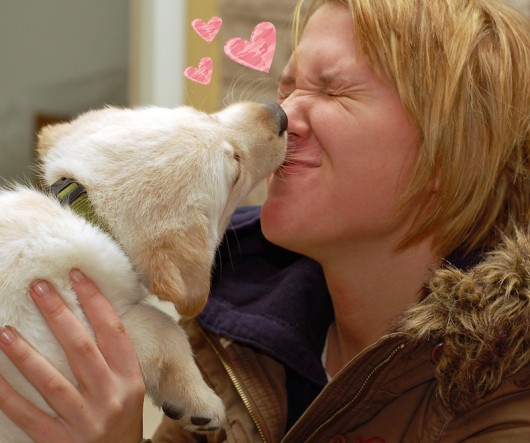 Go On... Let Dogs Lick You, It's Good For Your Health - Good News Network