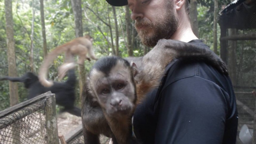 Monkeys Give WAY Too Many Hugs to Animal Rescuers in Peru - Good News ...