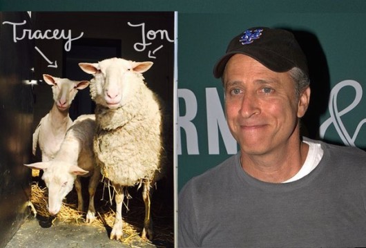 Jon Stewart Buys a Farm to Help Animal Victims of Cruelty - Good News ...