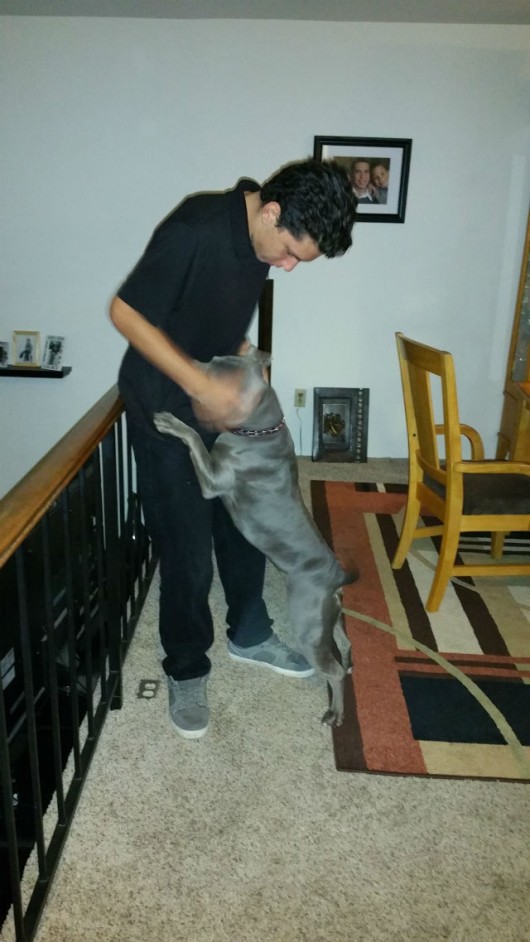 Pit Bull Prompts Autistic Teen to Kiss Mom for First Time