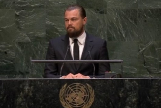 DiCaprio Donates $15 Mil to Help Save the Planet and Animals On It ...
