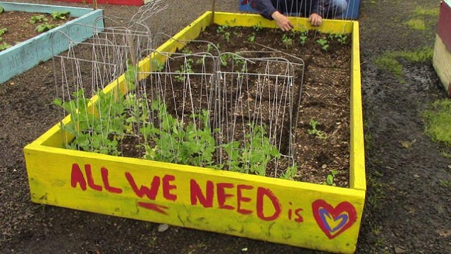 Homeless Shelter’s 80-Bed Rooftop Garden Cultivates Fresh Food and Job ...