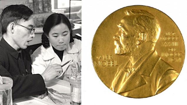 Fun Facts to Celebrate First Nobel Prizes 120 Years Ago: Youngest ...