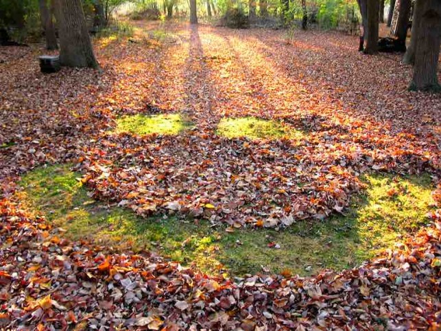 Don’t Rake Those Leaves: Good for Your Yard, and the Planet