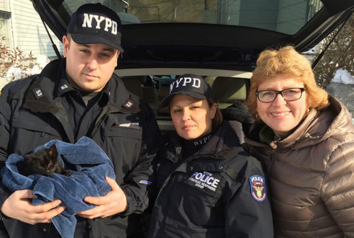 Anti-Terror Cops Rescue Hidden Kitty That Stopped Traffic in NYC - Good ...
