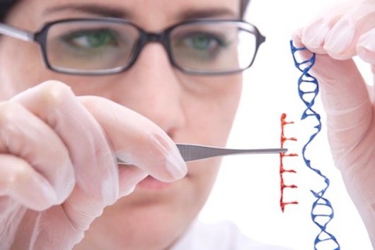 For the First Time Ever, US Scientists Have ‘Corrected’ Genetic Code ...