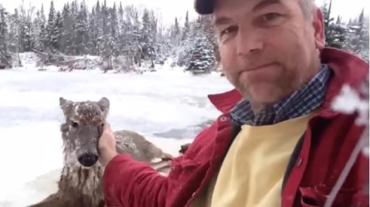Hold On For Deer Life: Man Risks His Own to Rescue Frozen Doe (Video ...