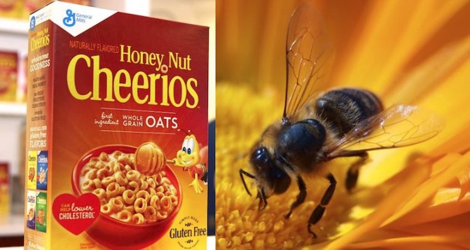 Honey Nut Cheerios Gives Back to Bees, Planting 3,300 Acres of Habitat ...