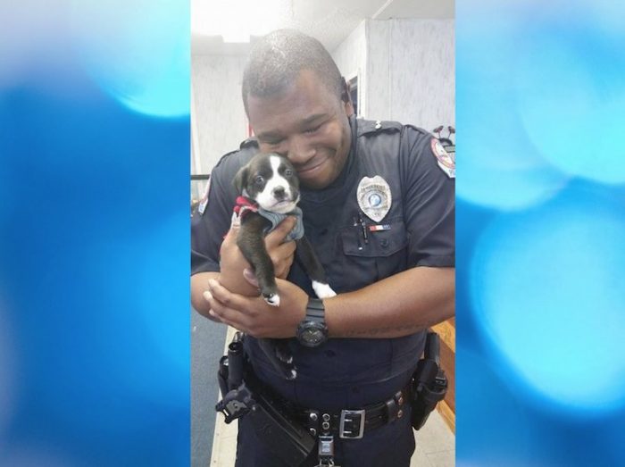 Cop Responds to a Call at Animal Shelter, Then Becomes New Foster Dad ...