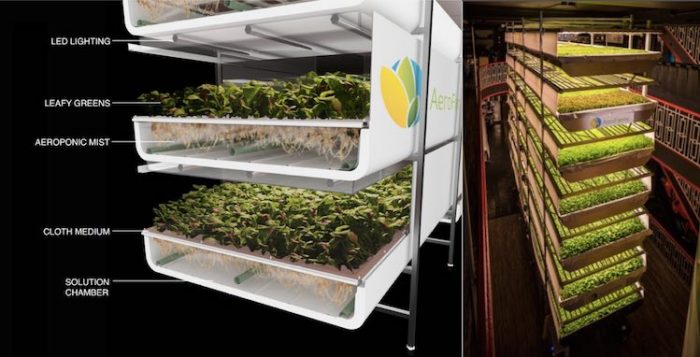 World’s Largest Vertical Farm Near NYC Uses 95% Less Water and No ...