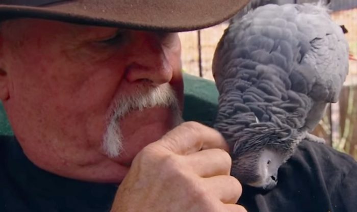 Abused Parrots and Traumatized Veterans Heal Together at Special ...