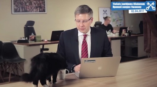 See this Mayor's Meow-velous Reaction to Cat Upstaging His Interview ...