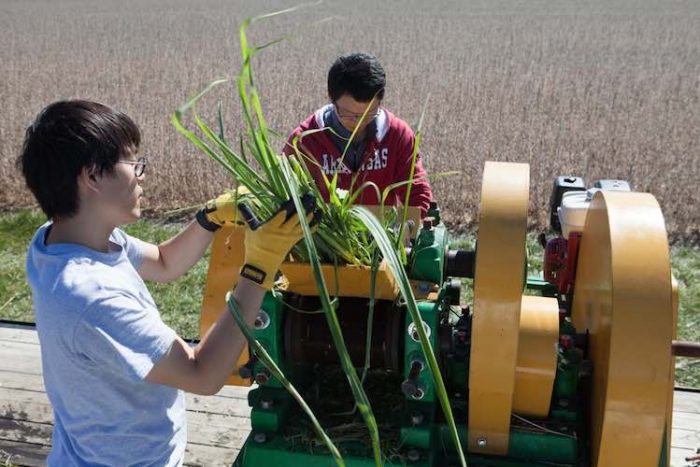 Sweet Sustainability: Sugar Cane Waste is Fuel of the Future? - Good ...