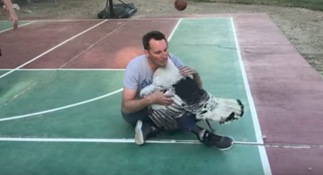 Watch Sweet Turkey Shower Beloved Owner in Hugs and Cuddles - Good News ...