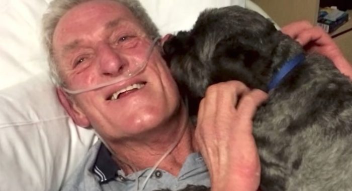 Miracle Dog Honored for Bringing Owner Out of Coma - Good News Network