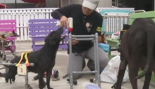 A Prescription for Compassion, This Handyman Builds Cheap Wheelchairs ...