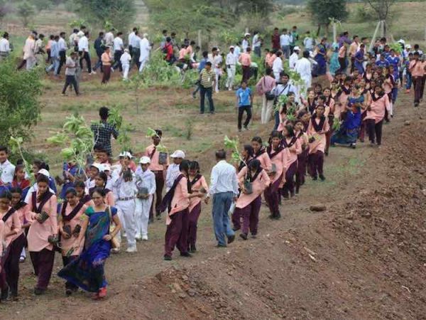 India’s Mass Tree Planting Success: Forest Cover Grows by Half-Million ...