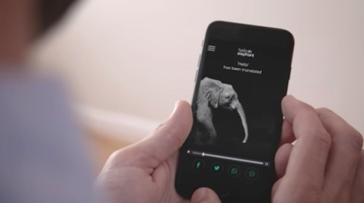 App Translates Human Speech Into Elephant Language so You Can Help Save ...