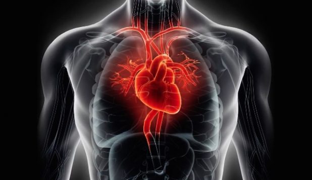 Good Cardiovascular Habits Can Knock 6 Years off Your Biological Age ...