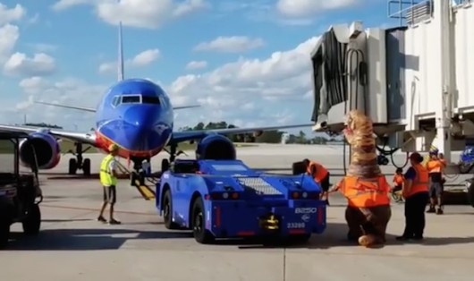 Celebrate the Weekend by Watching T-Rex Guide Plane into Airport ...