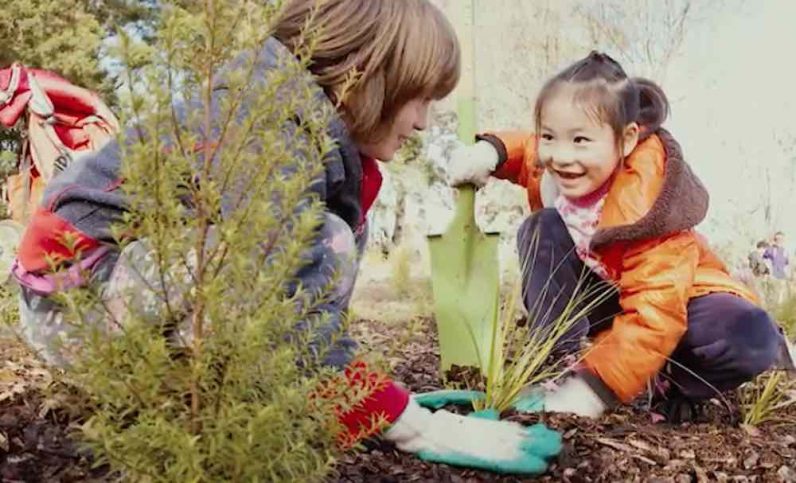 New Zealand Government Announces Plan to Plant 1 Billion Trees, Get to ...