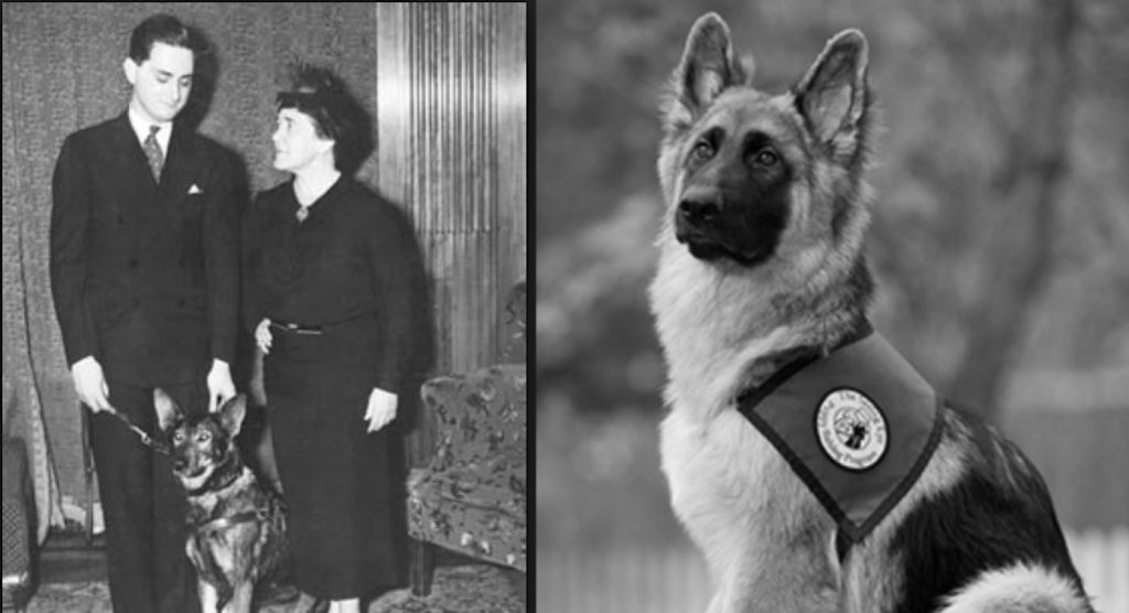 Good News on This Day in History - January 29