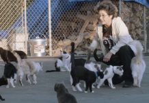 VIDEO: The Only Thing Crazy About This Cat Lady is the Number of ...