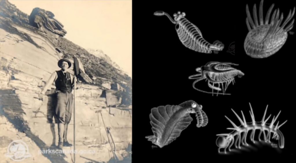 Good News in History, August 30 - Good News Network