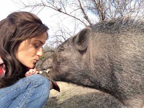 Woman Shares Home With 90 Rescue Animals She Named After Lord of the ...