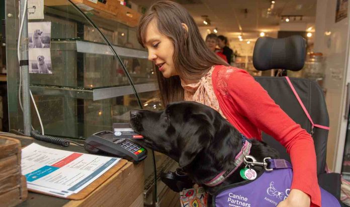 Service Dog Who Can Fetch Food, Clothing, and Pay for Shopping Has ...