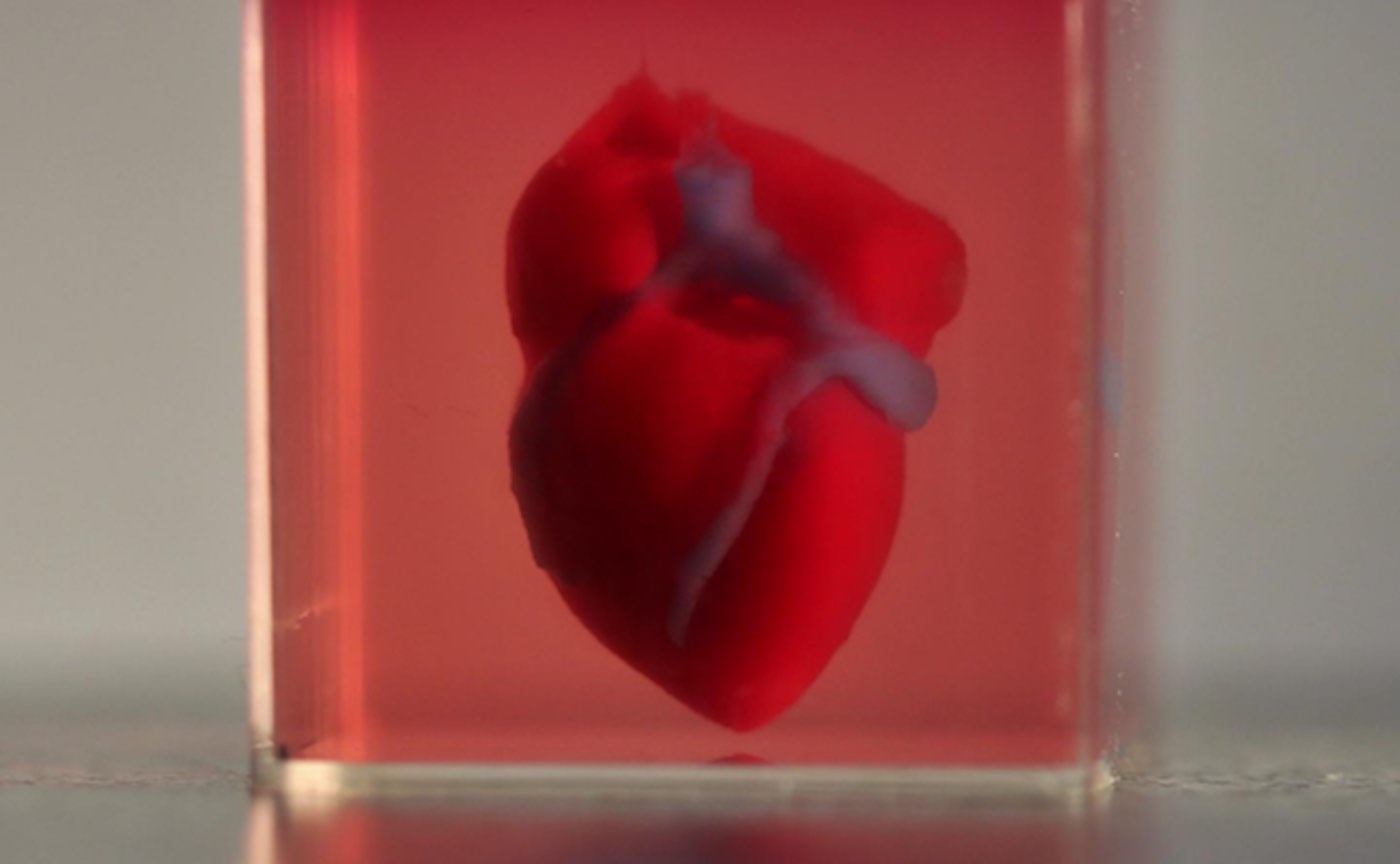 Scientists Unveil World's First 3D-Printed Heart With Human Tissue