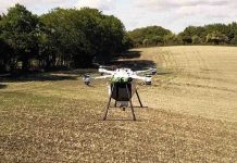 Tree-Planting Drones Have Successfully Planted Thousands of Saplings ...