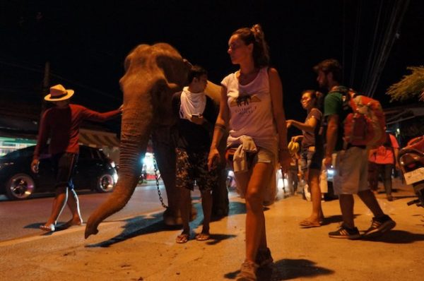 Watch People Join Rescue Elephants in the Streets As They Embark on 10 ...