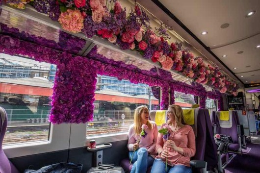 Passengers Surprised With Train Full of Flowers – and Their Reactions ...