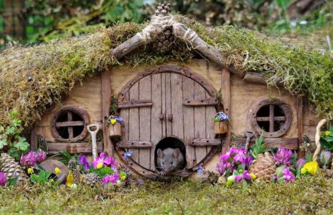 Photographer Builds Adorable Tiny Log Cabins in His Backyard to Keep ...