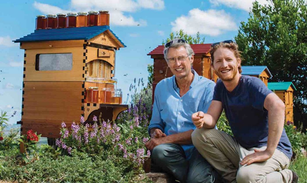 5 Ways Companies, Governments, and People Are Helping Bees—on National ...