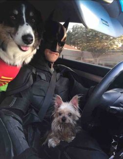 Guy Dressed as Batman Has Rescued Dozens of Shelter Pets From Euthanasia