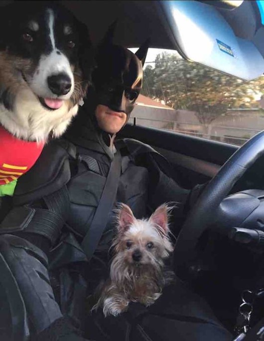 Guy Dressed as Batman Has Rescued Dozens of Shelter Pets From Euthanasia