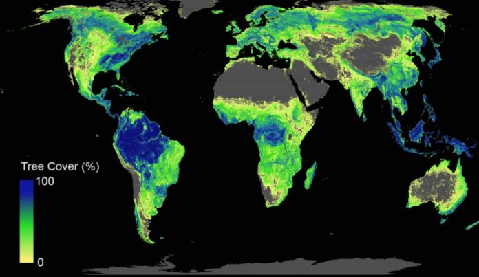For First Time Ever, Scientists Identify How Many Trees to Plant and ...
