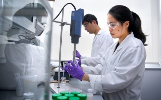 You Butter Believe It: Cornell Researchers Make New, Healthy Spread ...