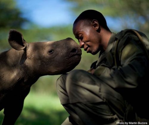 Check Out Some of the Gorgeous Winning Pictures From This ‘Kindness ...