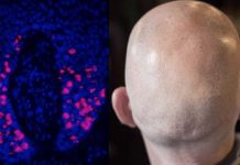 Subway Officer Spent 30 Minutes Calming Boy With Autism Having a ...