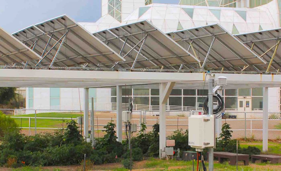 Exciting New Study Says That Crops Thrive Underneath Solar Panels—and ...