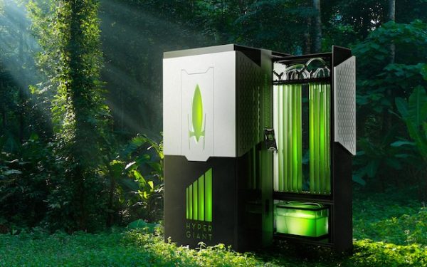 This New Bioreactor Uses Algae to Capture as Much Carbon Dioxide as an ...